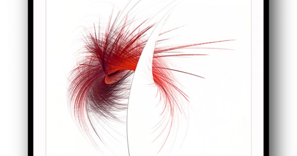 Wild Split Photography Wall Art